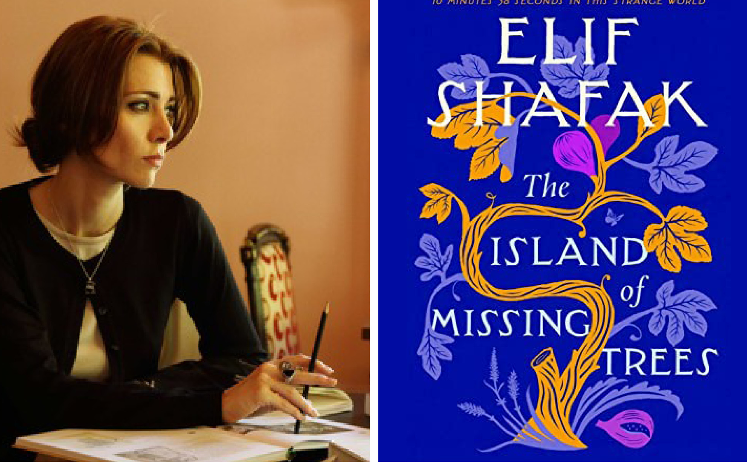 Book Review of Elif Shafak’s The Island of Missing Trees - sallyflint